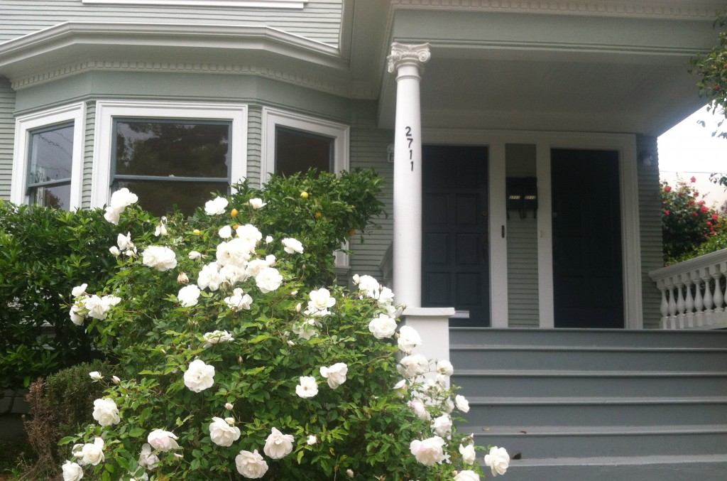 How to Paint a Wooden House ? | Green Plum Design Blog